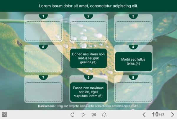 Drag and Drop Quiz — Storyline Template – eLearningchips