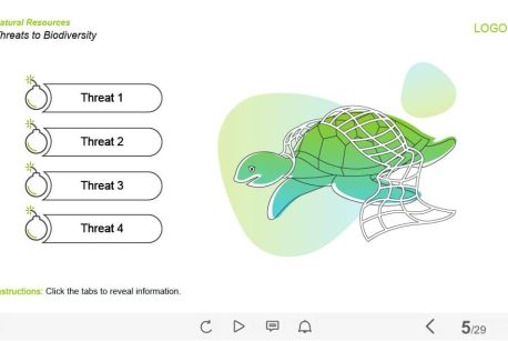 eLearning Templates & Graphics for Course Developers — eLearningchips