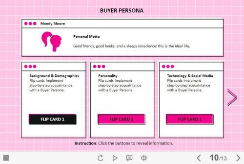 Customer Profile — Download Articulate Storyline Template