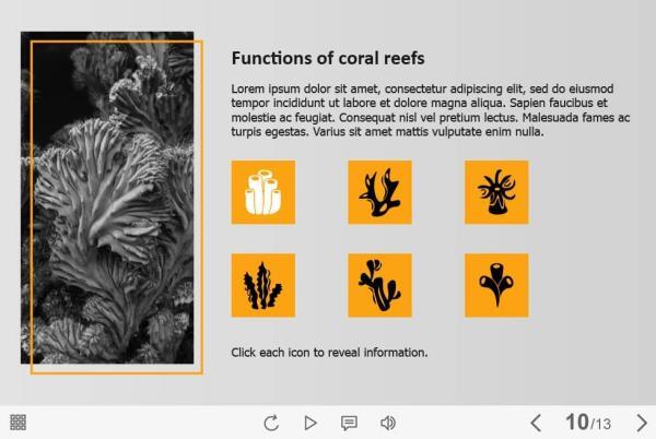 Coral Reefs Icons — Captivate Template – eLearningchips